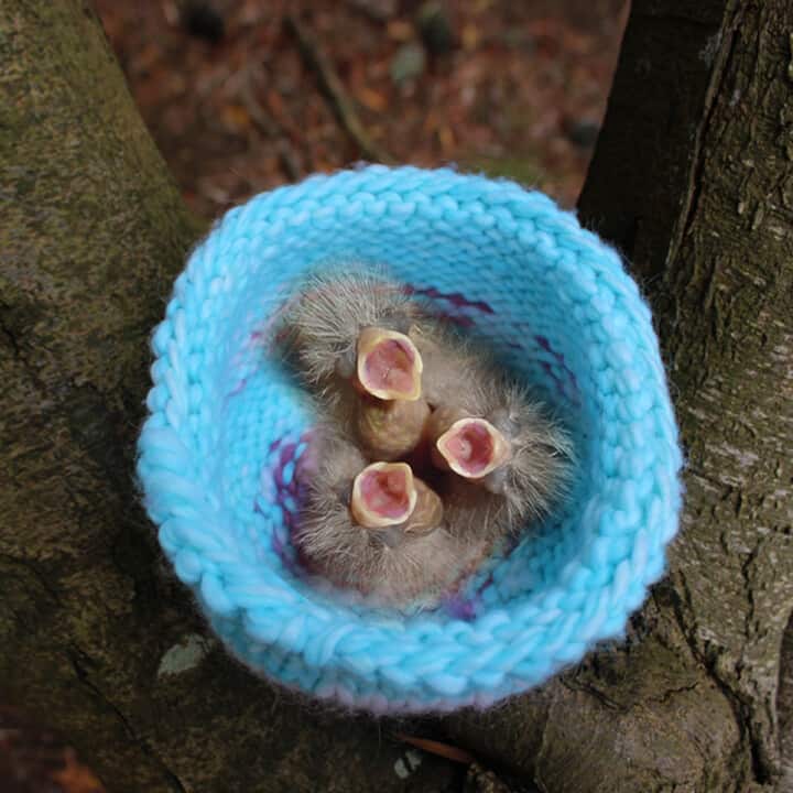 How to Knit a Birds Nest for Rescued Wildlife Animals - Studio Knit