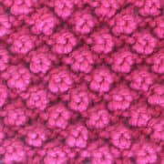 Raspberry Stitch Knitting Pattern - Studio Knit